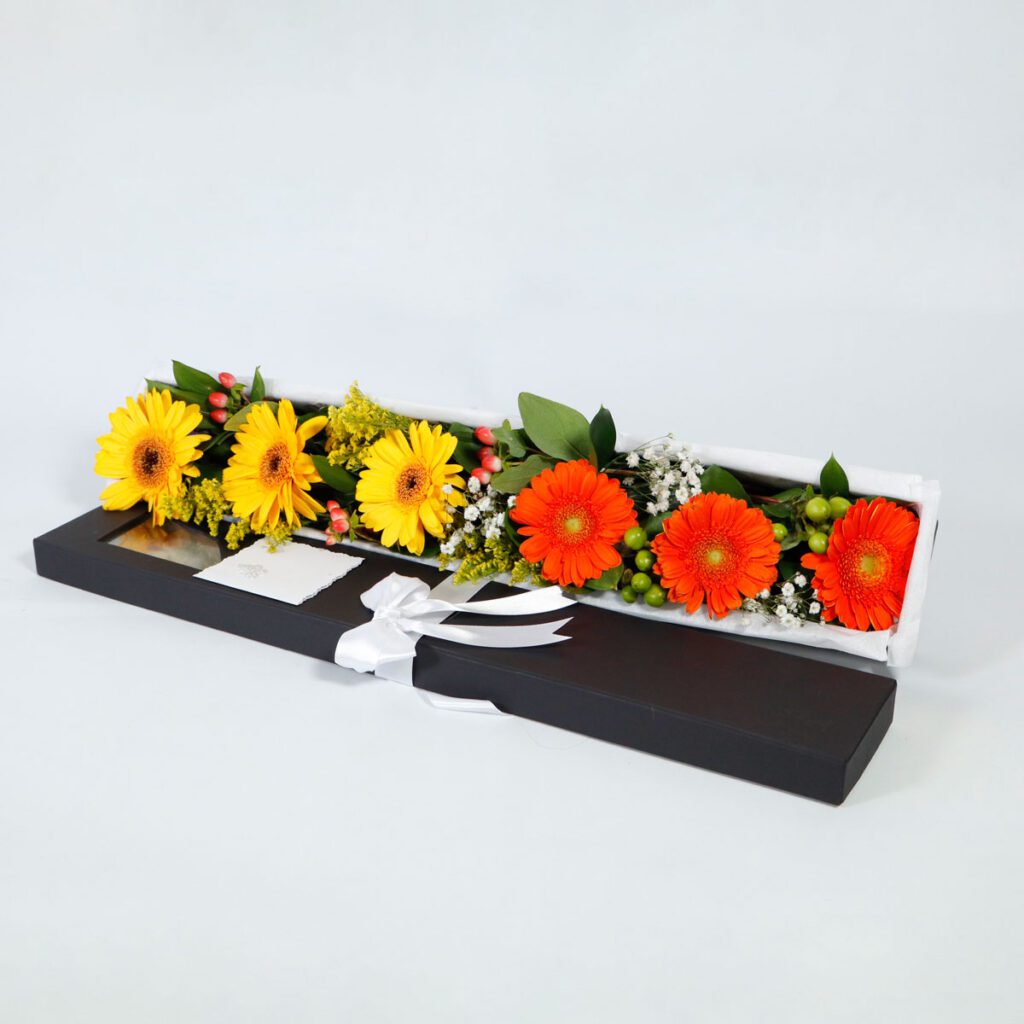 Cajas de Flores | Envíos a Domicilio Gratis